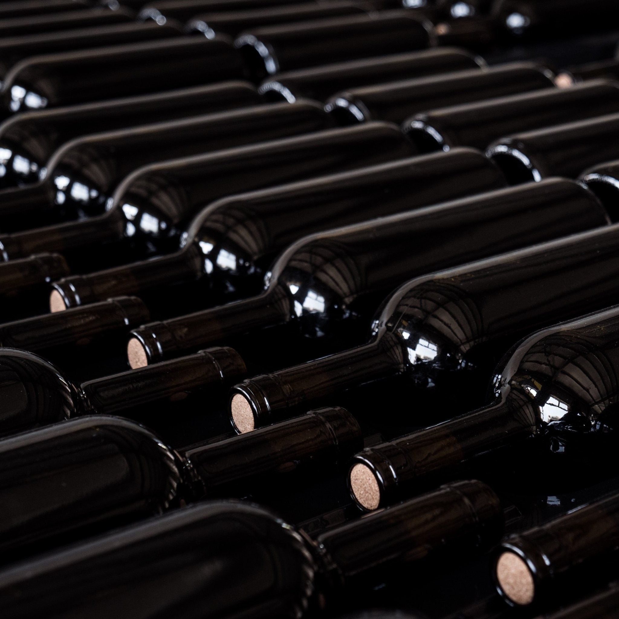 Other Red Wines | Keg N Bottle