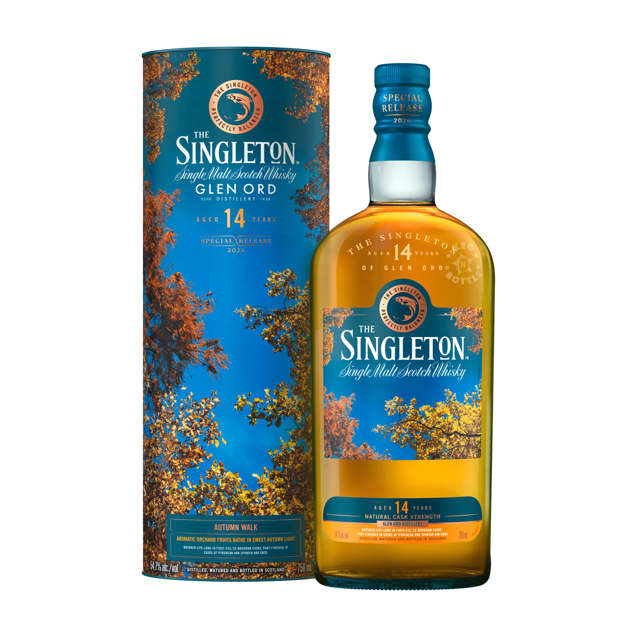 The Singleton 14 Year Glen Ord 2024 Release Single Malt (750 ml) | Keg ...